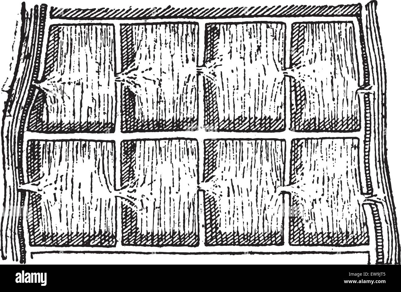 Paddy plantation drawing hi-res stock photography and images - Alamy