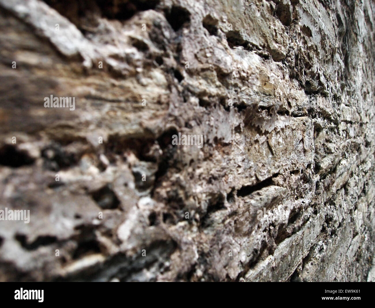 wall close up Stock Photo - Alamy
