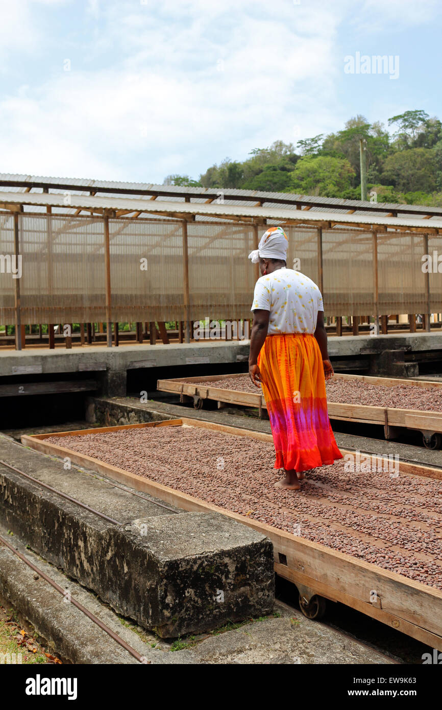 Walking beans hi-res stock photography and images - Alamy