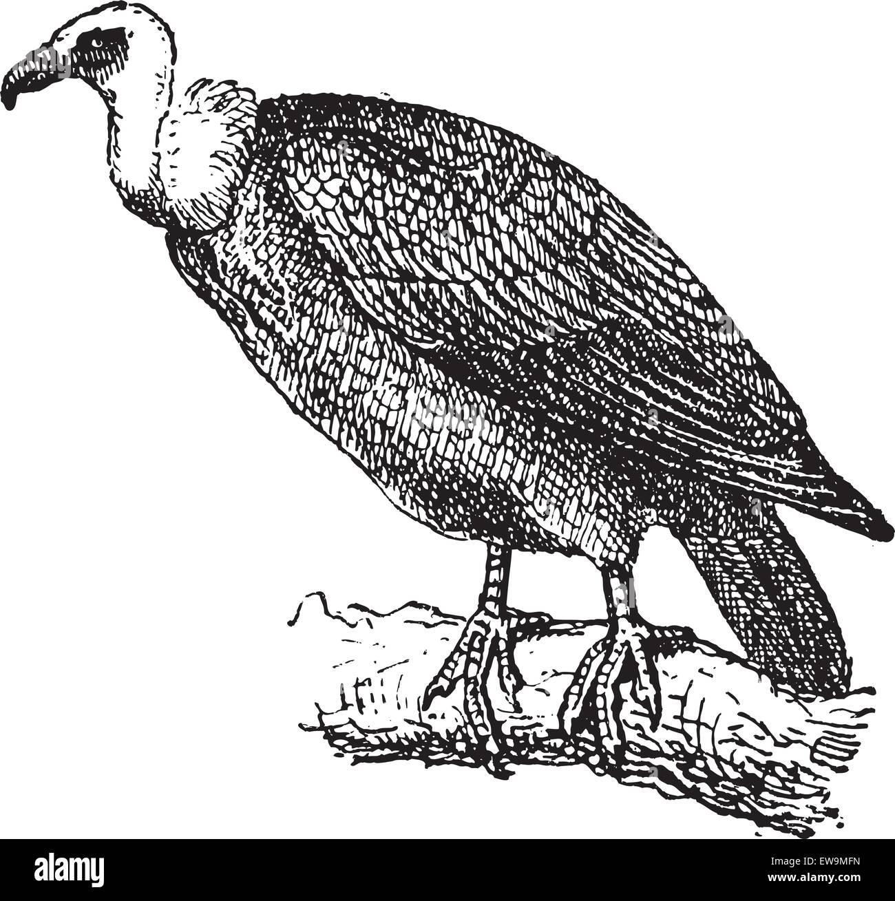 Vintage art venue Cut Out Stock Images & Pictures - Alamy