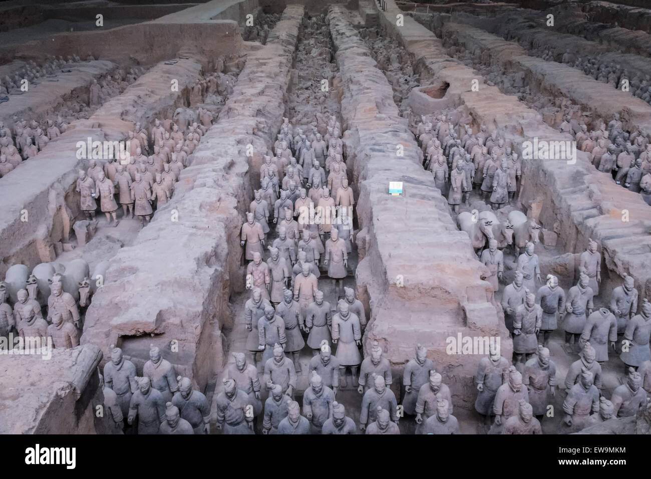 Soldiers and animals sculptures of the Army of Terracotta Warriors at ...