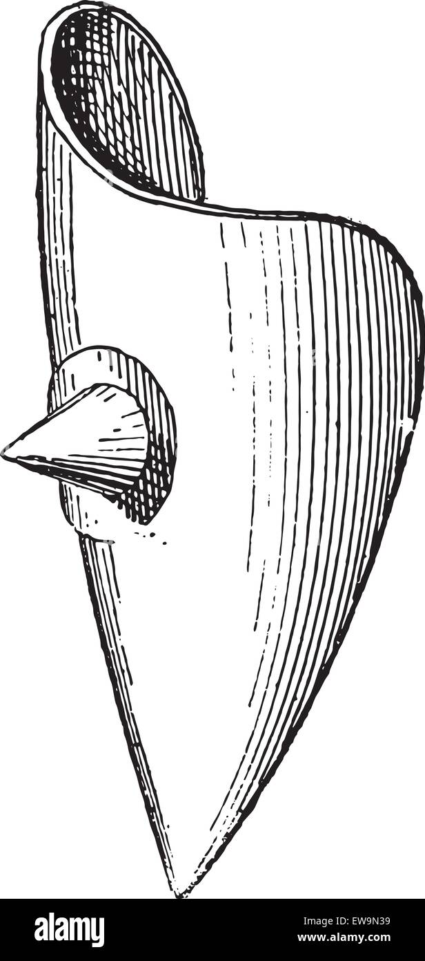 Conical boss Stock Vector Images - Alamy