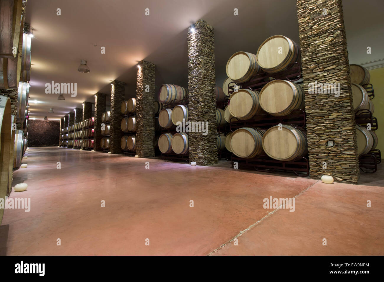 View of a long cellar with wine barrels Stock Photo - Alamy