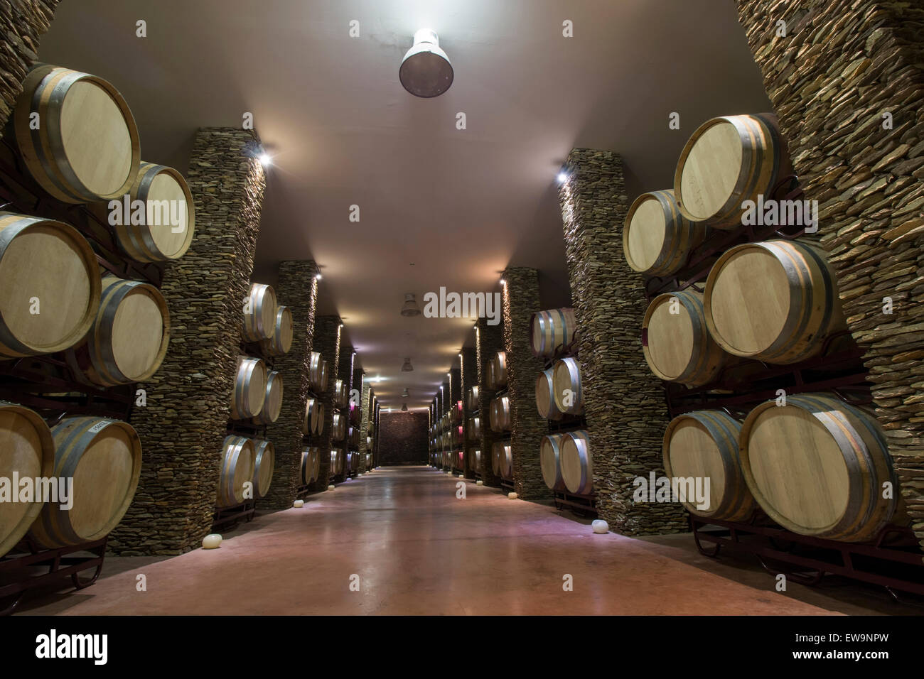 View of a long cellar with wine barrels Stock Photo - Alamy