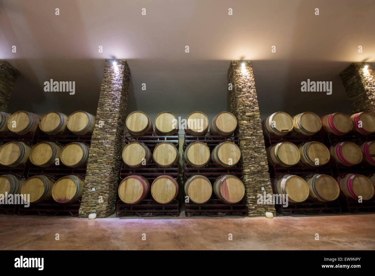 View of a long cellar with wine barrels Stock Photo - Alamy