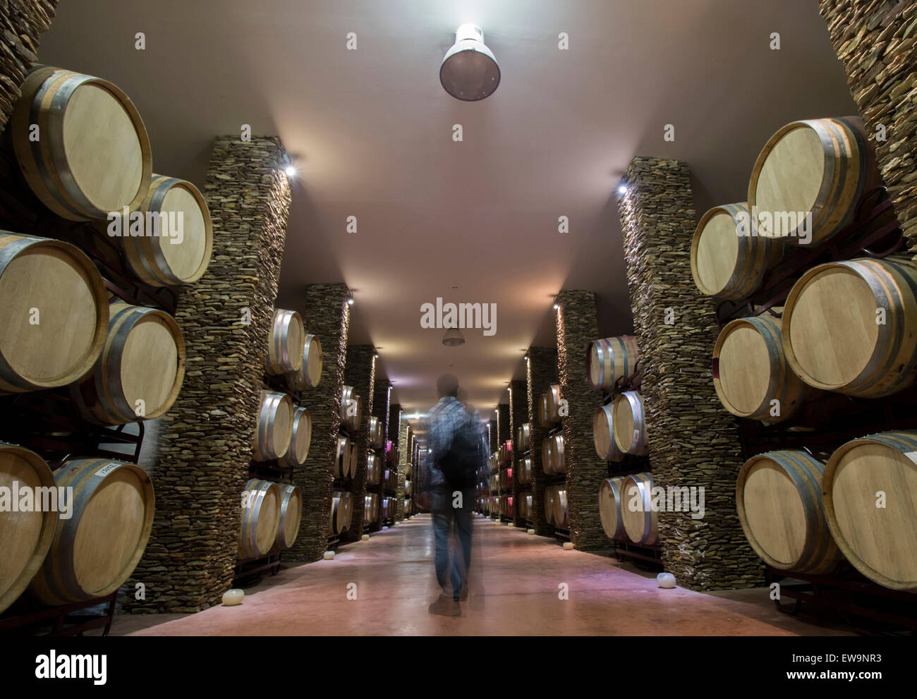 View of a long cellar with wine barrels Stock Photo - Alamy