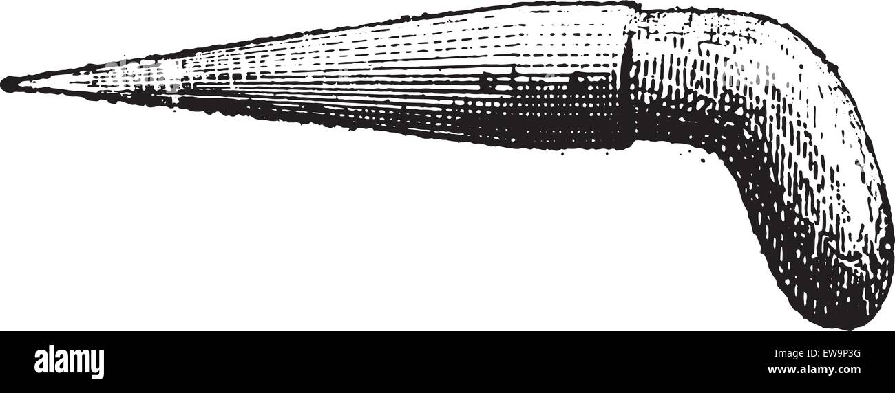 Vintage dibber gardening hi-res stock photography and images - Alamy