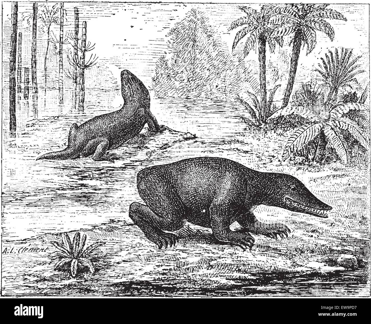 Labyrinthodontia Fossil Wiki Fandom Powered By Wikia Ichthyostega