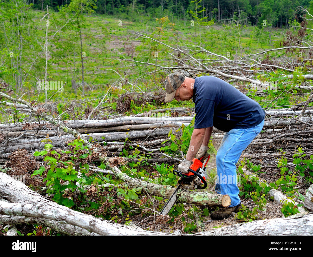 Cutting firewood hi-res stock photography and images - Alamy