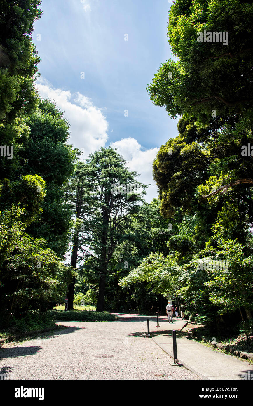 Komaba park hi-res stock photography and images - Alamy