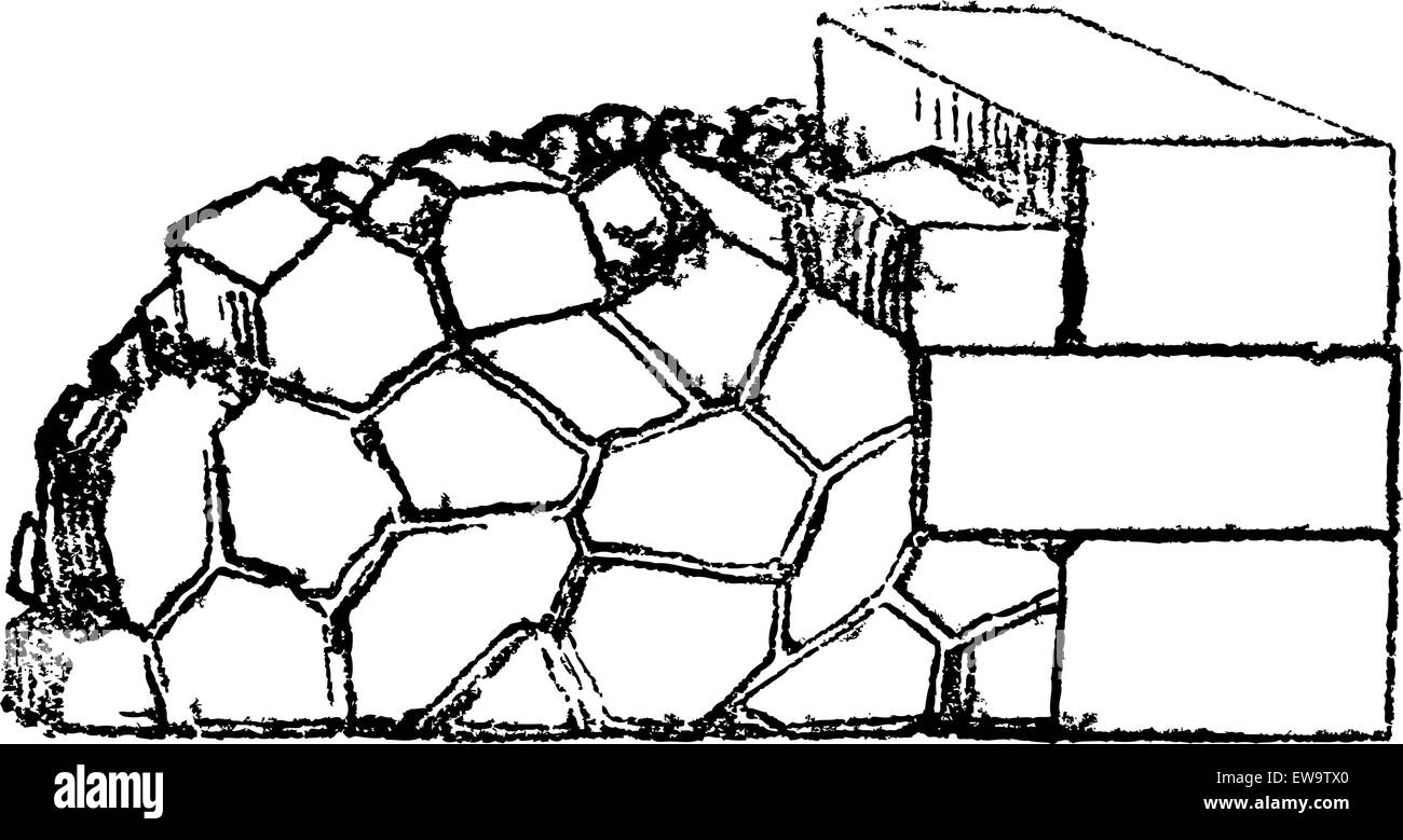 Crazy stone pattern Stock Vector Images - Alamy