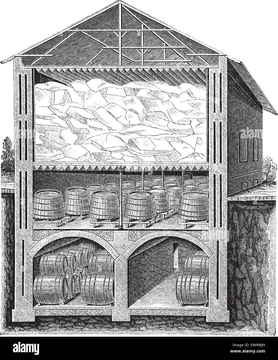 Beer cellar historical Stock Vector Images - Alamy