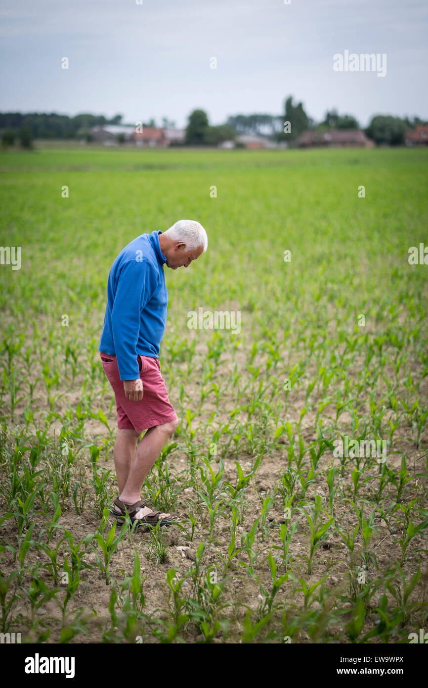 General view of Rory Stephens battle field tours covering the ...