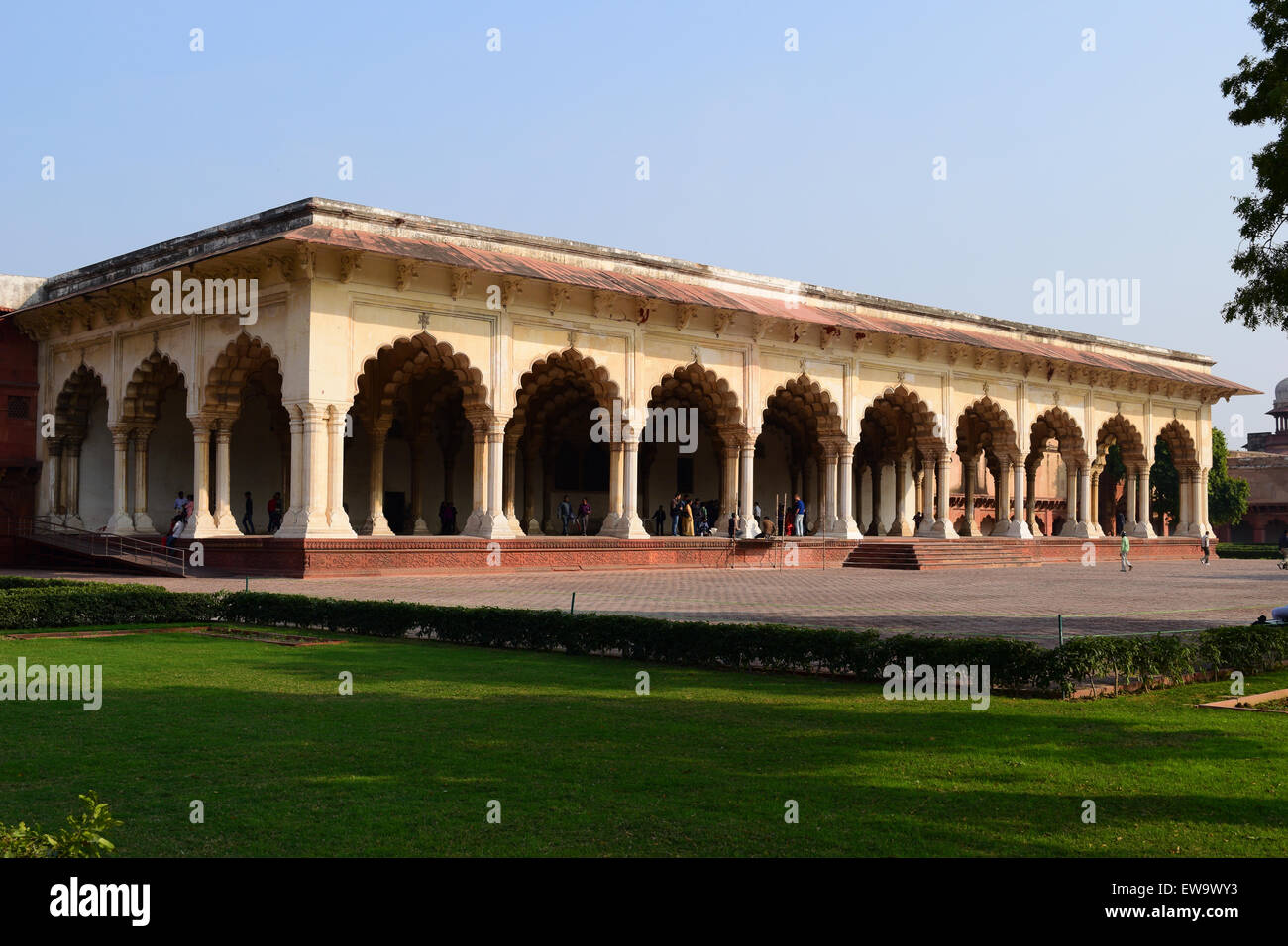 Pubic arch hi-res stock photography and images - Alamy