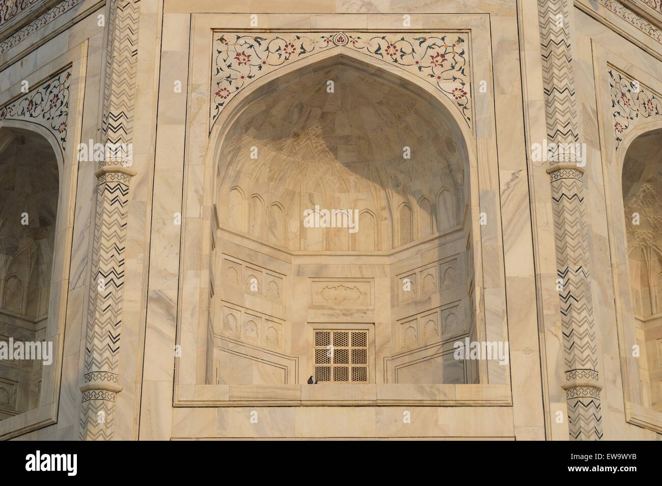 Taj Mahal Closeup Architecture View of Taj Mahal India Stock Photo - Alamy