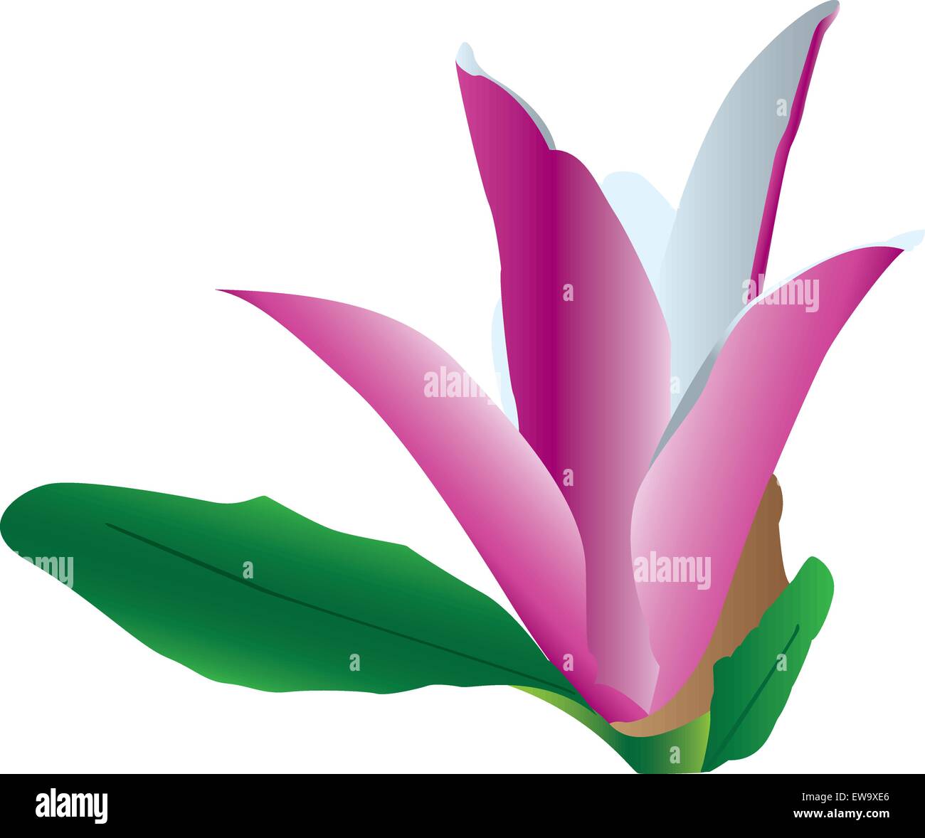 In bloom Stock Vector Images - Alamy