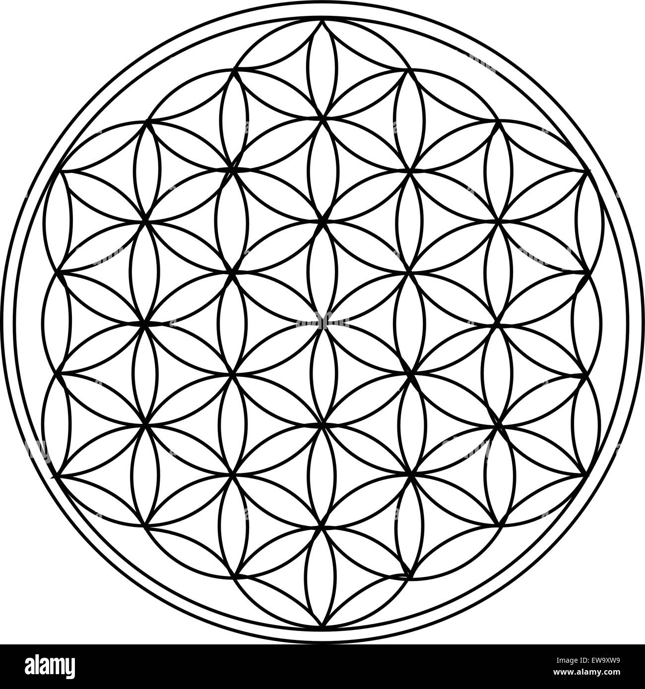 The Flower of Life Stock Vector Image & Art - Alamy