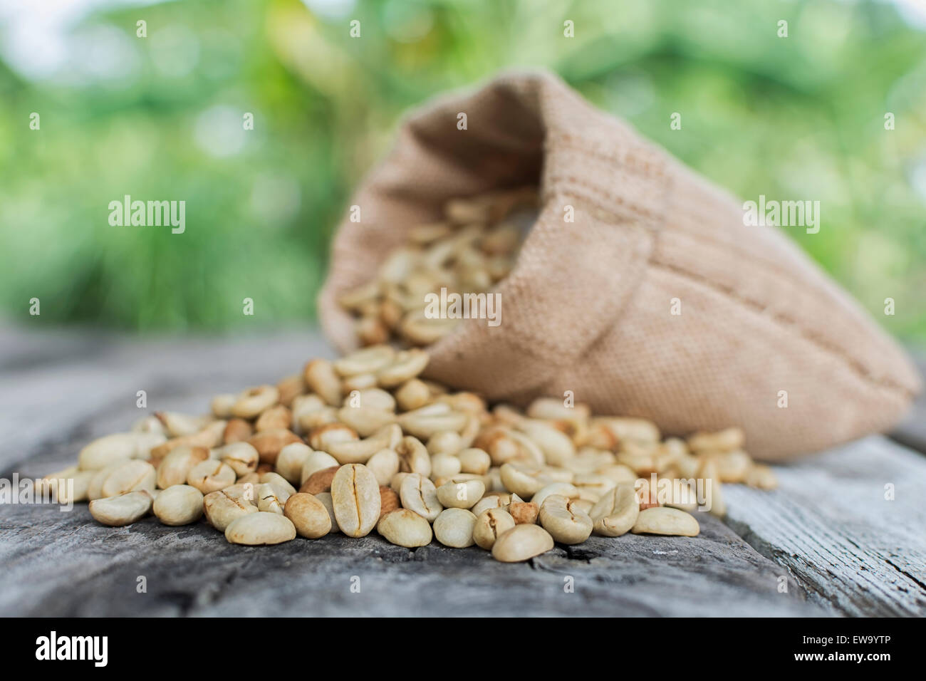 Raw coffee beans on green blurred background. Focus coffee beans front ...