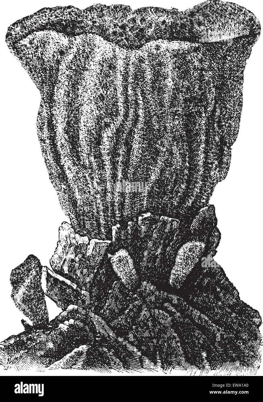 Sponge rock Stock Vector Images - Alamy