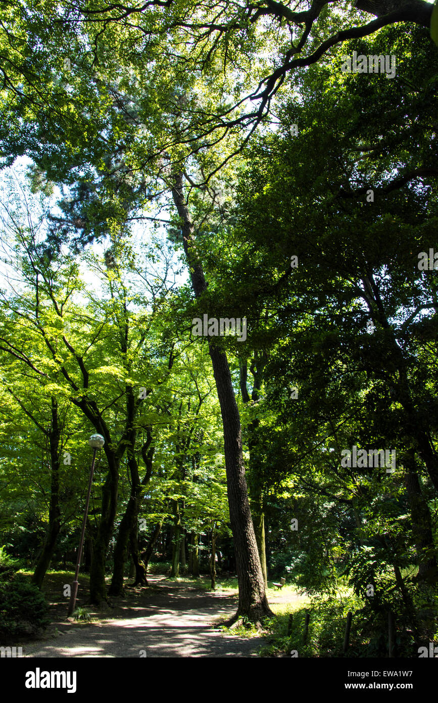 Komaba park hi-res stock photography and images - Alamy