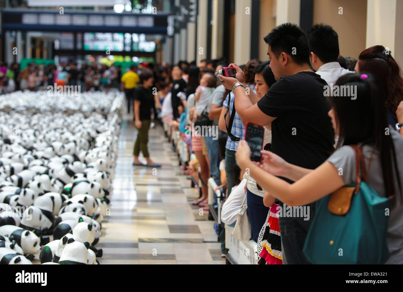 People taking photo of the mache panda at 1600 Pandas campaign by WWF ...