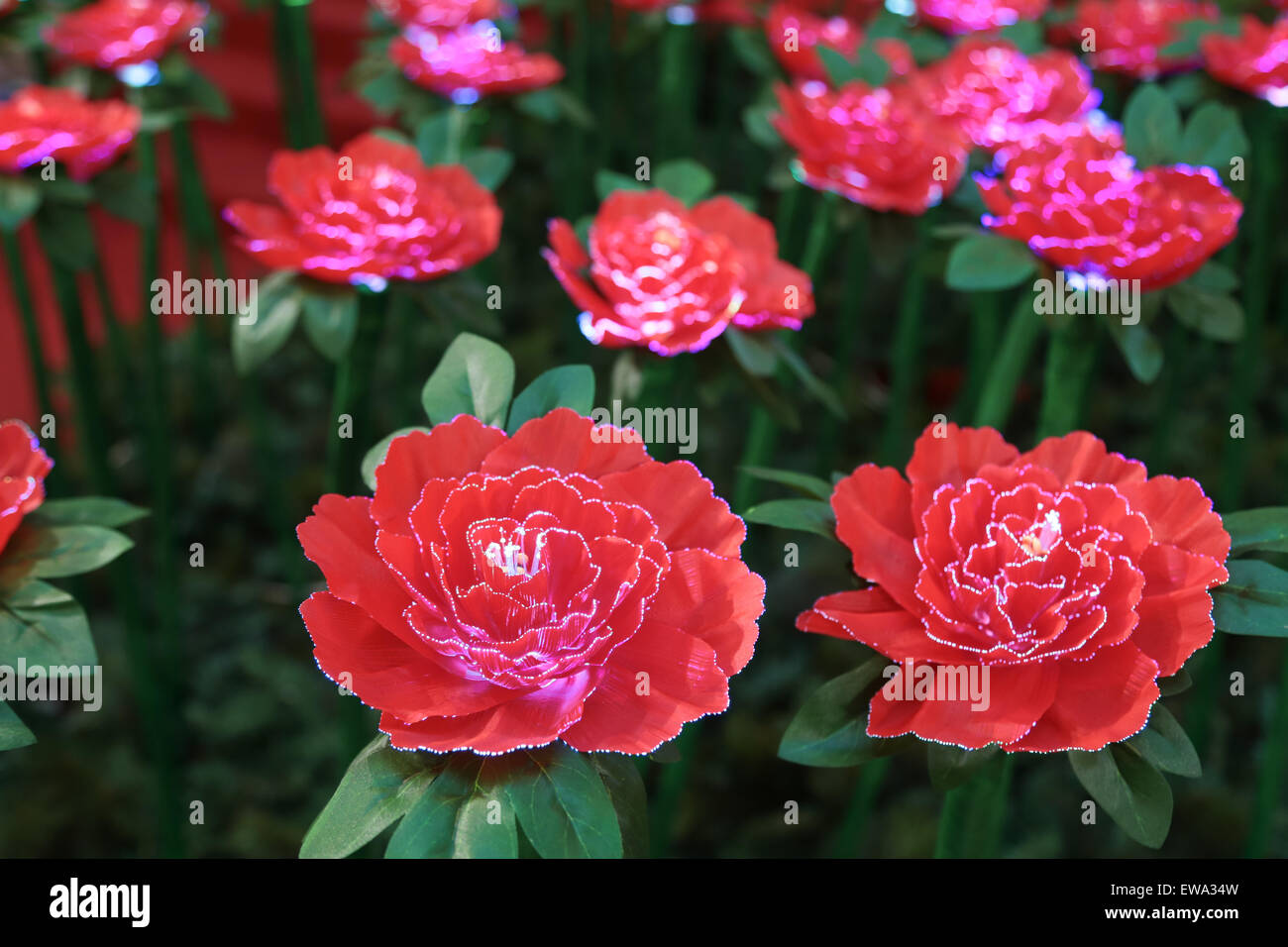 Pastic rose flowers with shining LED lights Stock Photo - Alamy