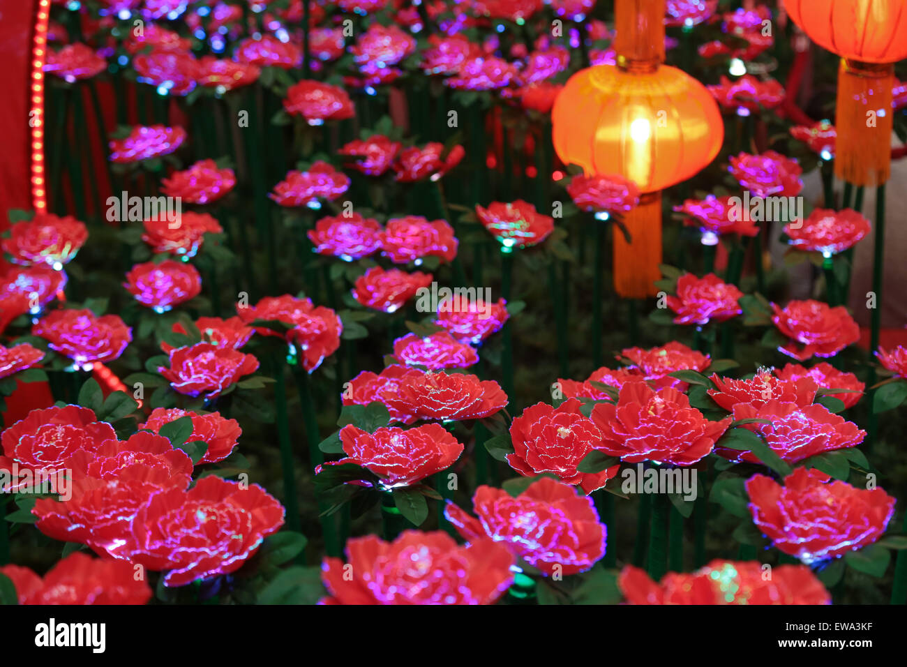 Plastic rose flowers with LED lights and chinese lanterns Stock Photo ...