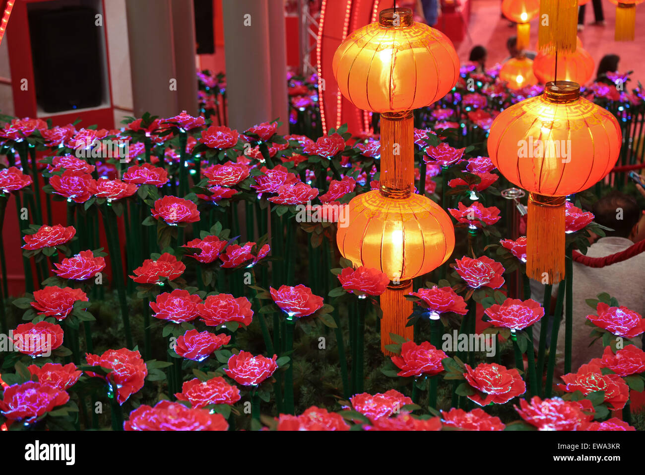 Plastic rose flowers with LED lights and chinese lanterns Stock Photo ...