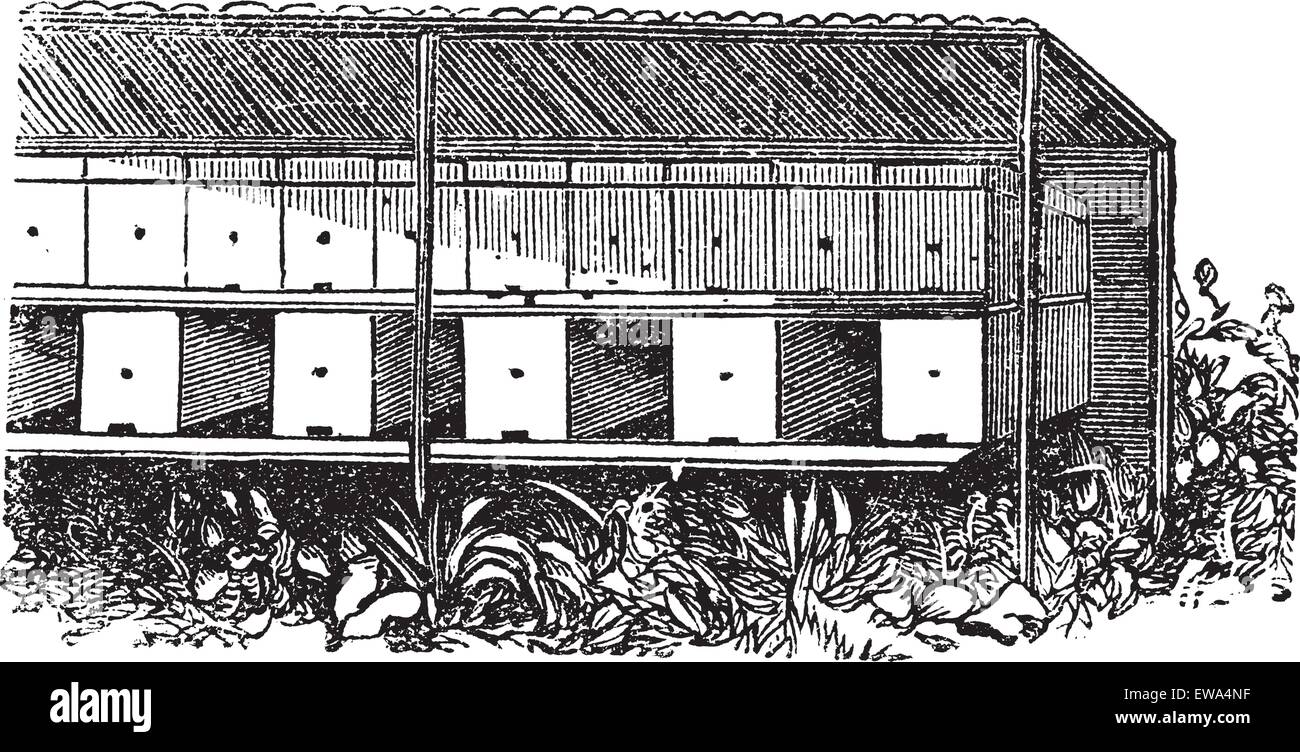 Beekeeping drawing High Resolution Stock Photography and Images - Alamy