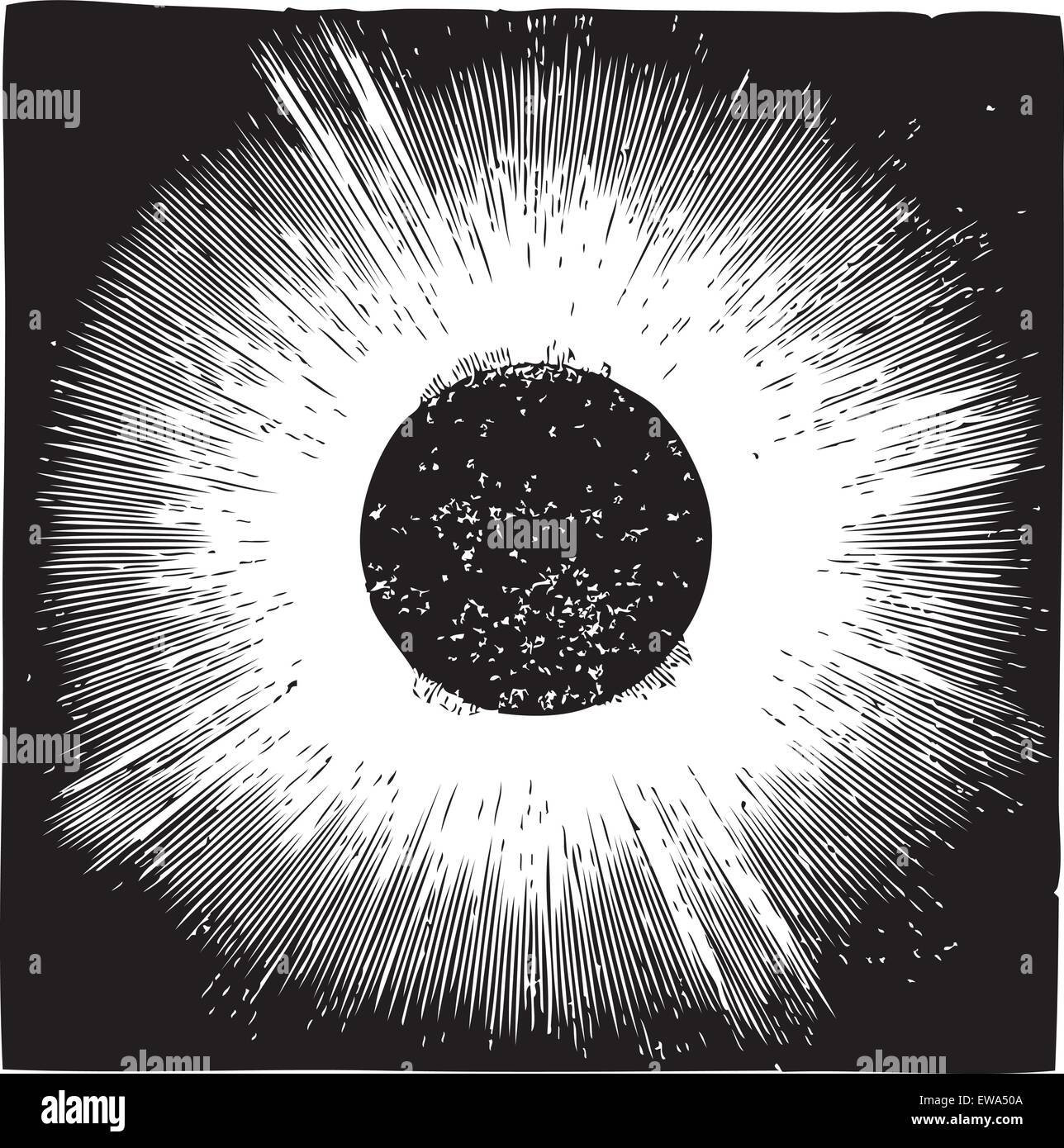 Solar corona, during solar eclipse of 1860, vintage engraving. Old ...