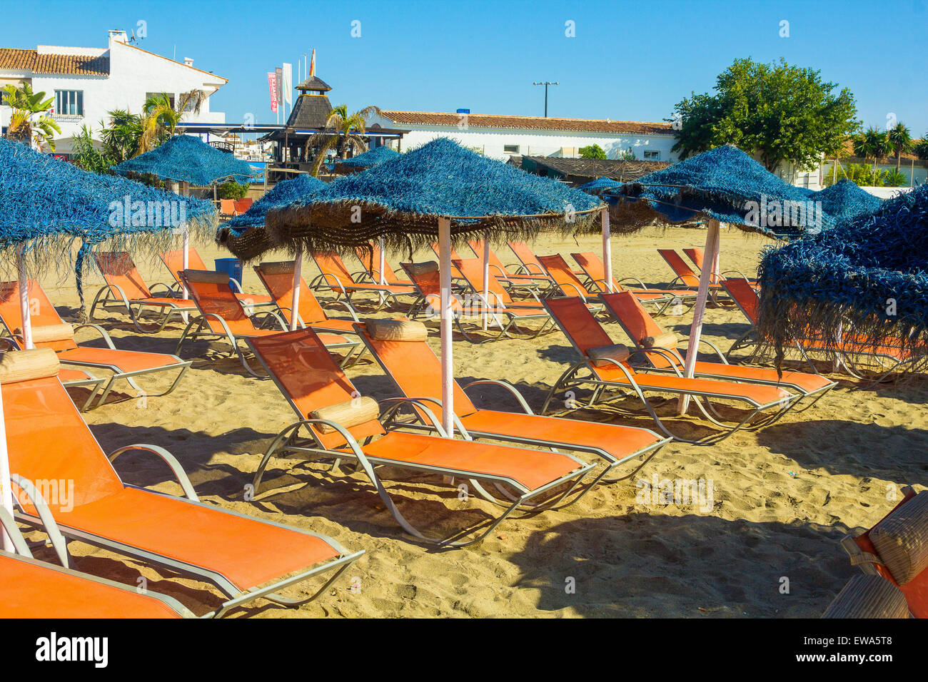 rows of blue and sun loungers parasols oranges on the beach Stock Photo ...