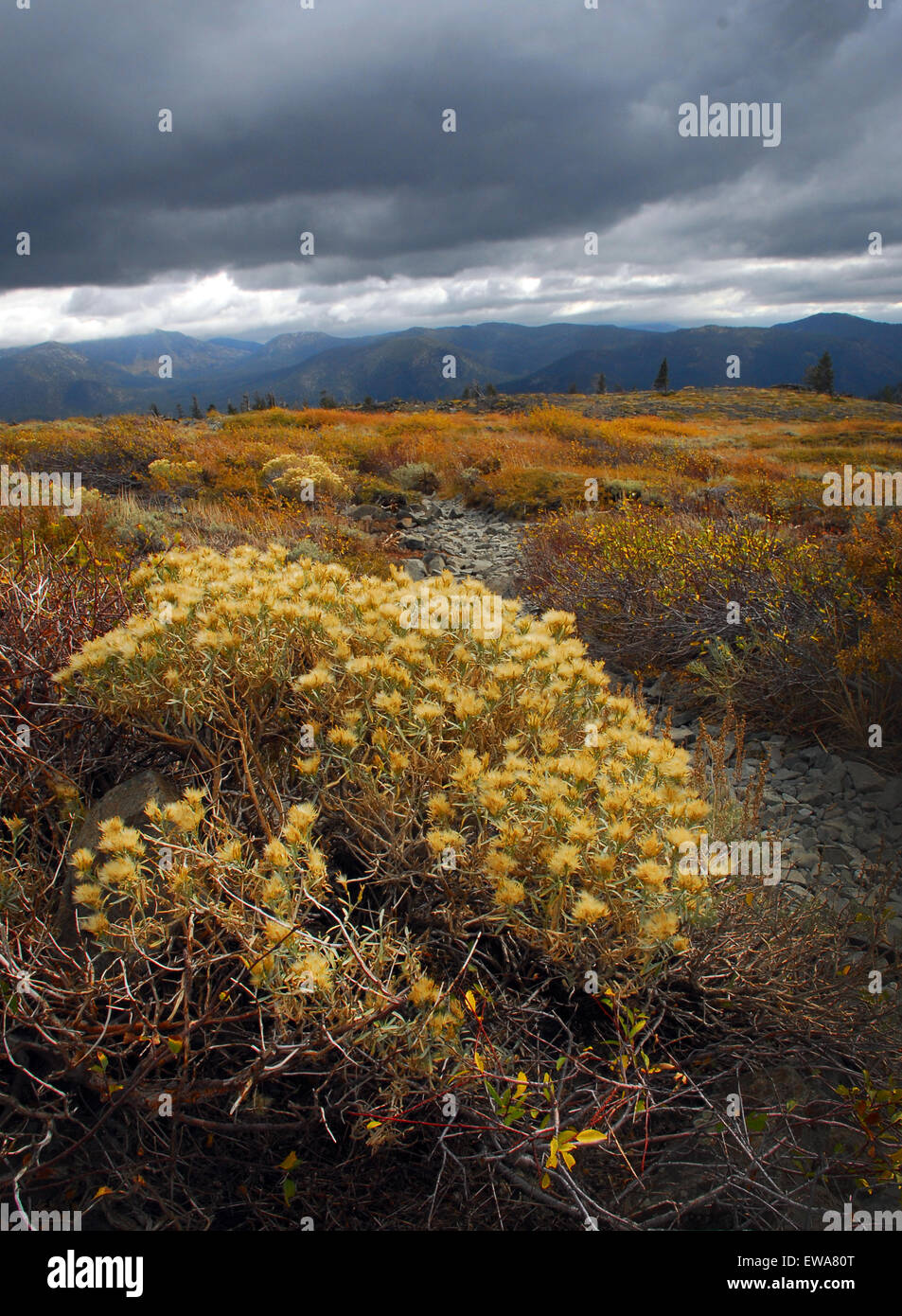 Desolation Wilderness, Lake Tahoe area Stock Photo - Alamy