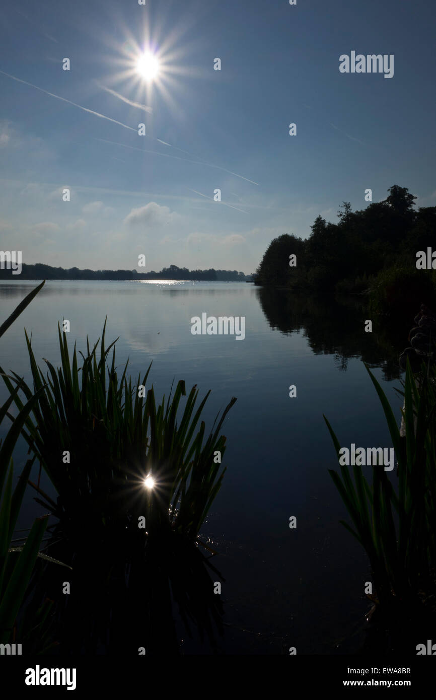 Whitlingham Country Park Stock Photo - Alamy