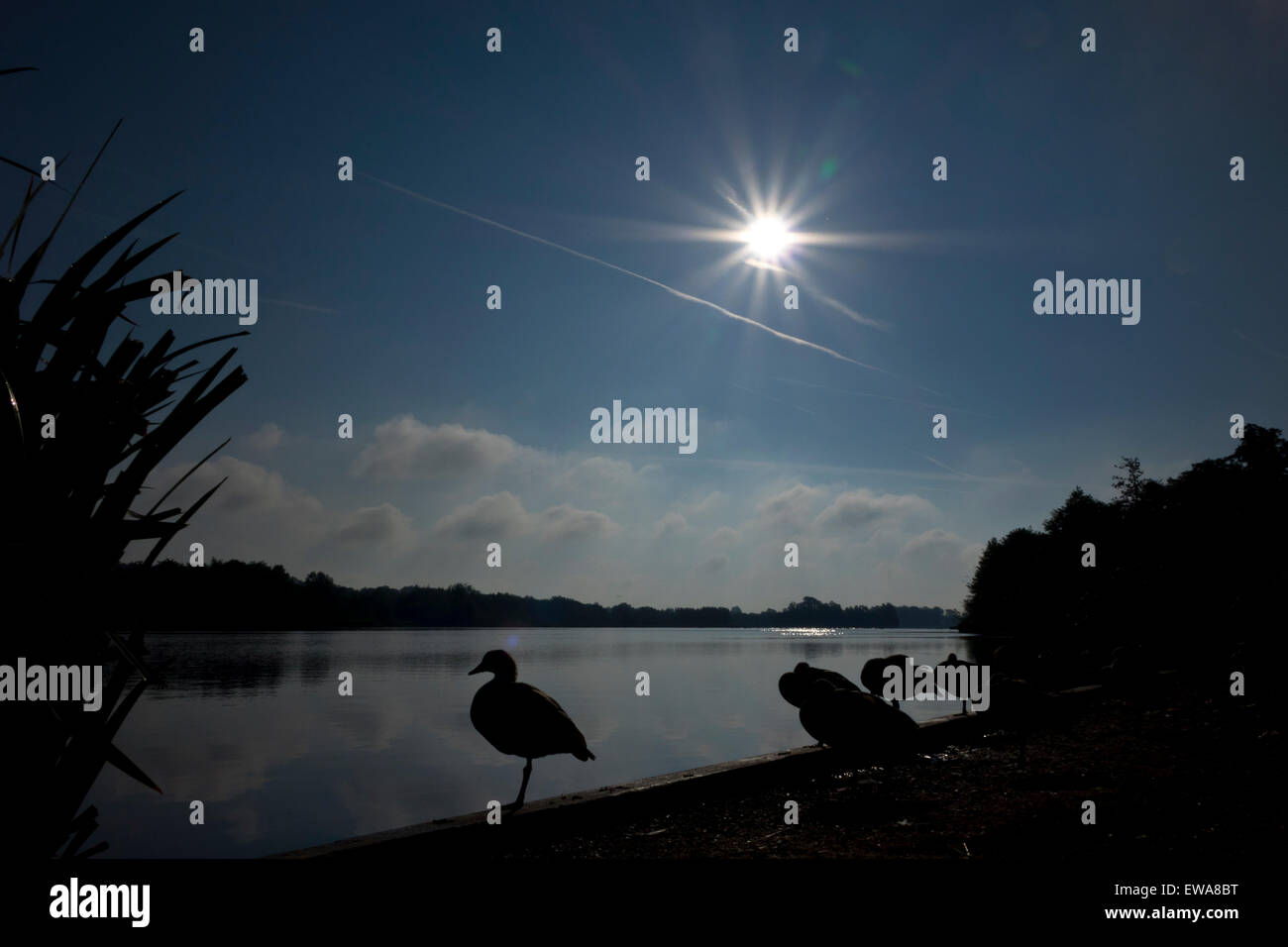 Whitlingham Country Park Stock Photo - Alamy