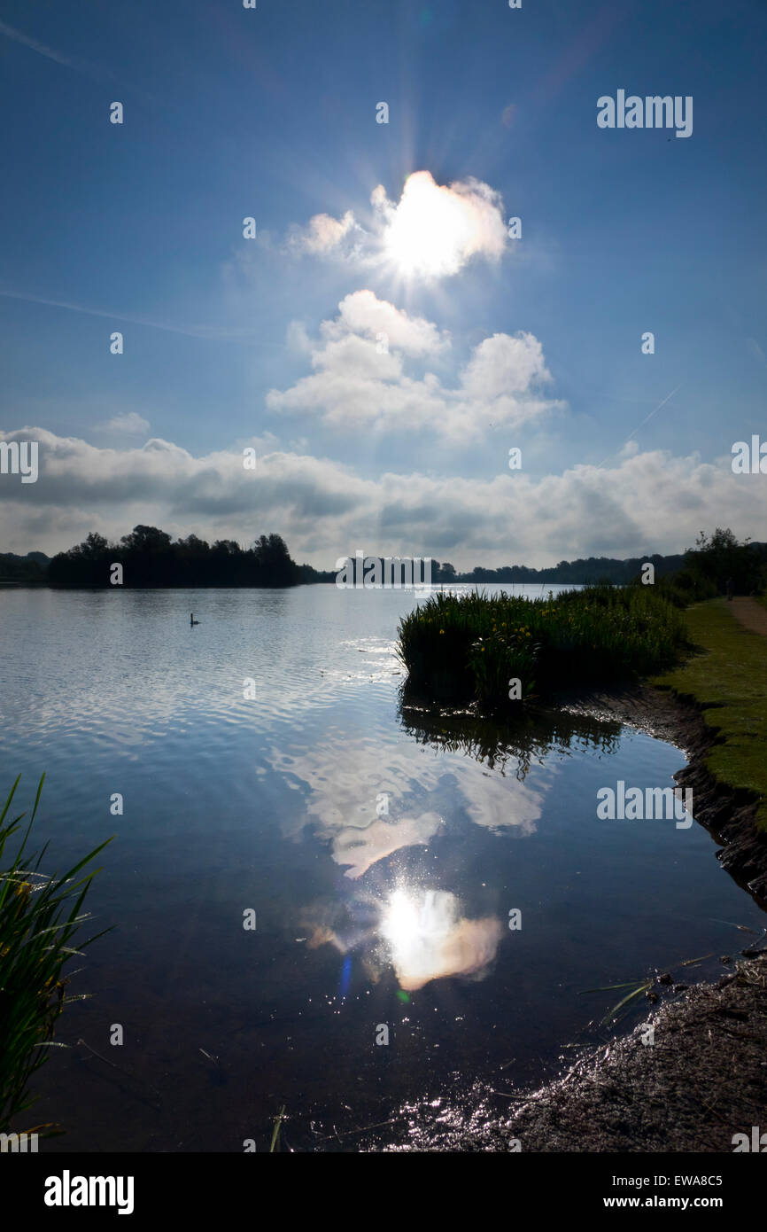 Whitlingham Country Park Stock Photo - Alamy