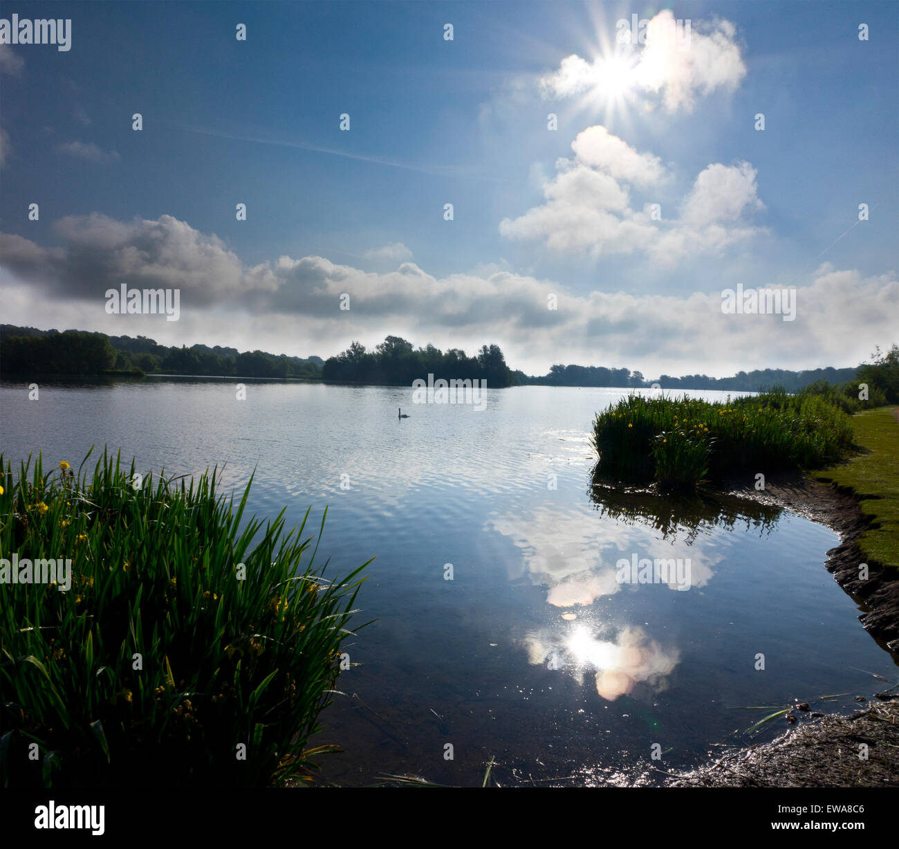 Whitlingham Country Park Stock Photo - Alamy