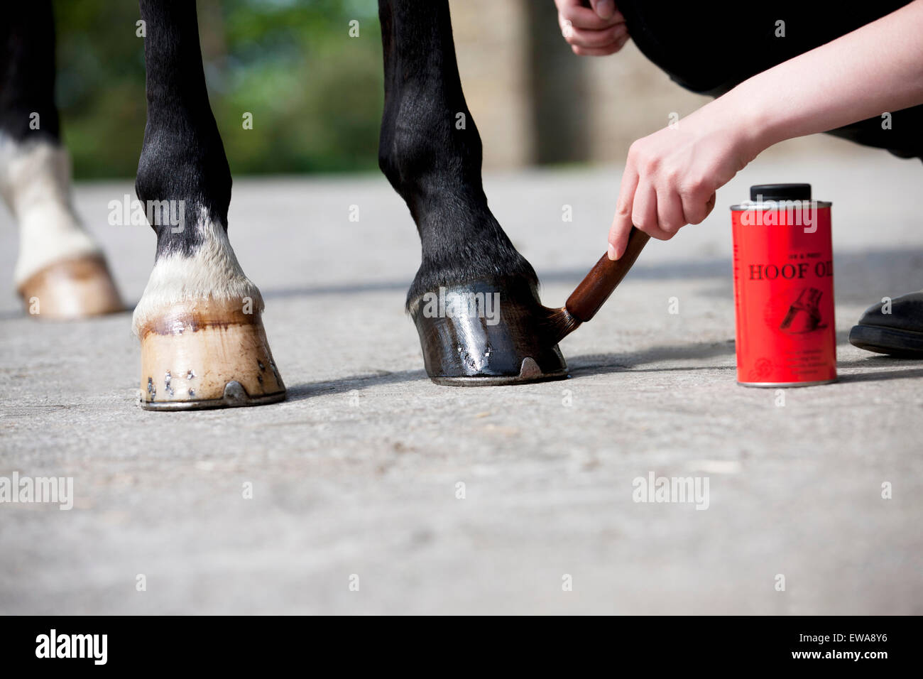 Feet and hooves hi-res stock photography and images - Alamy