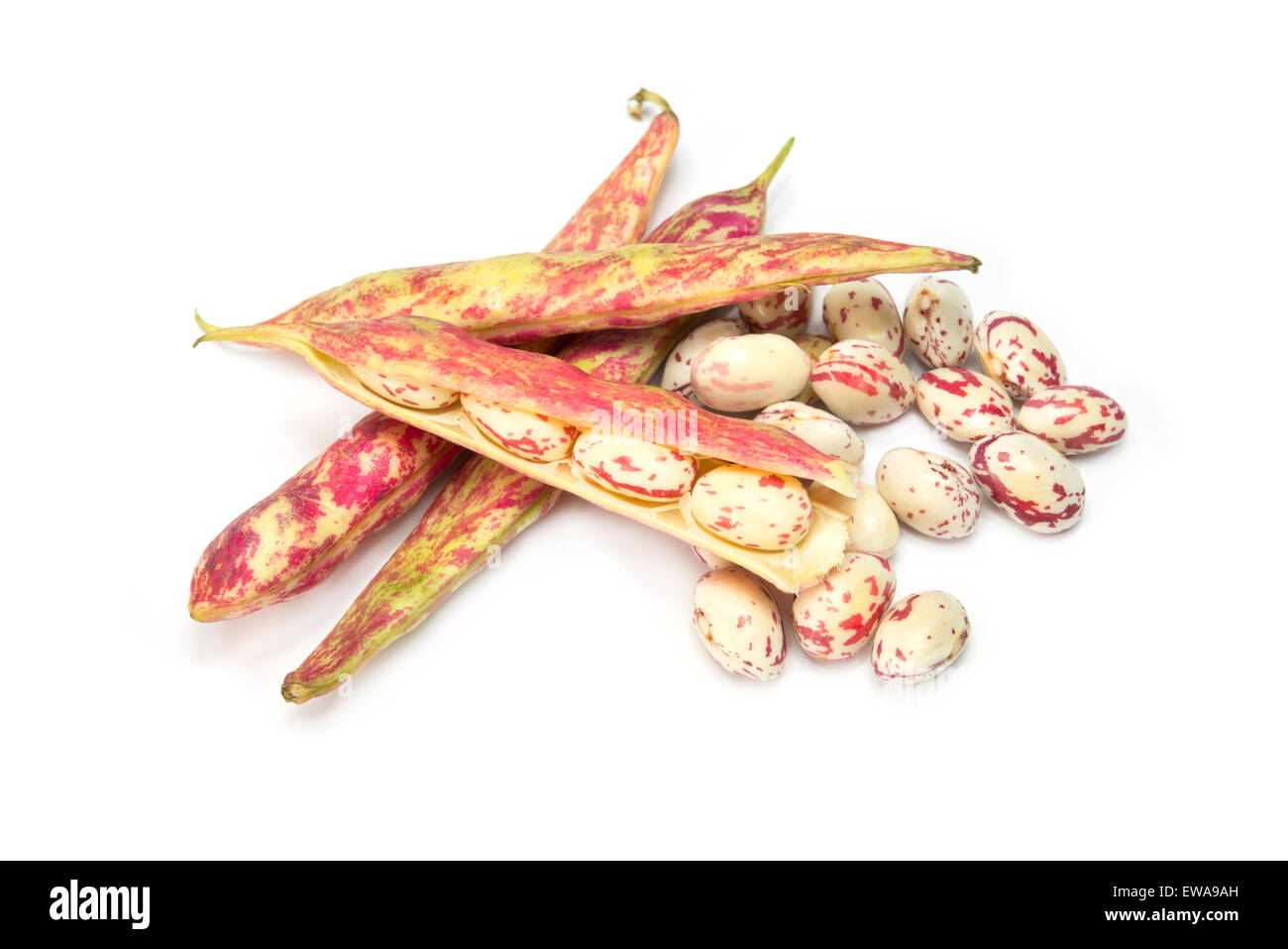 raw borlotti beans isolated on white background Stock Photo - Alamy