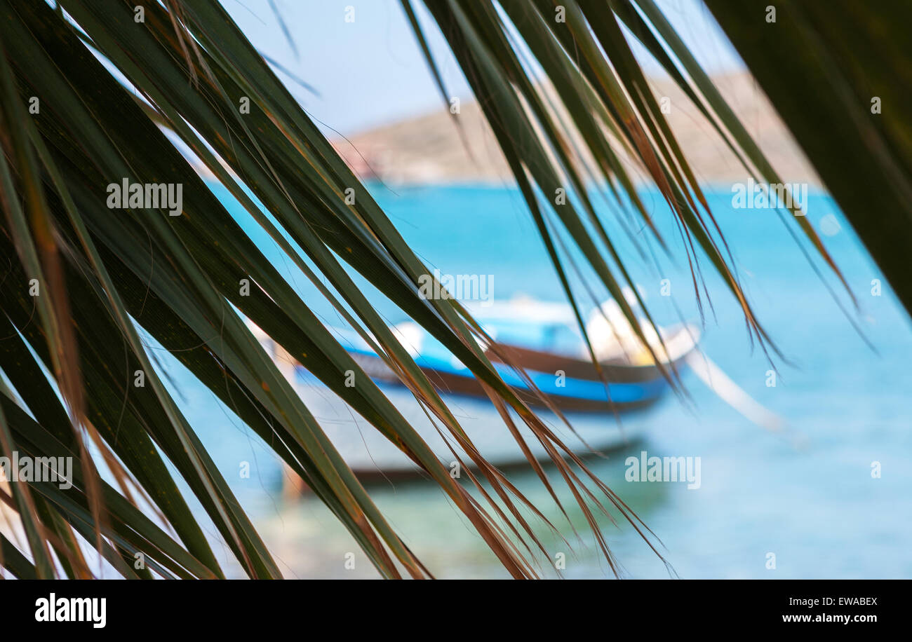 Palm branches on the background of the fishing boats, the sea and the ...