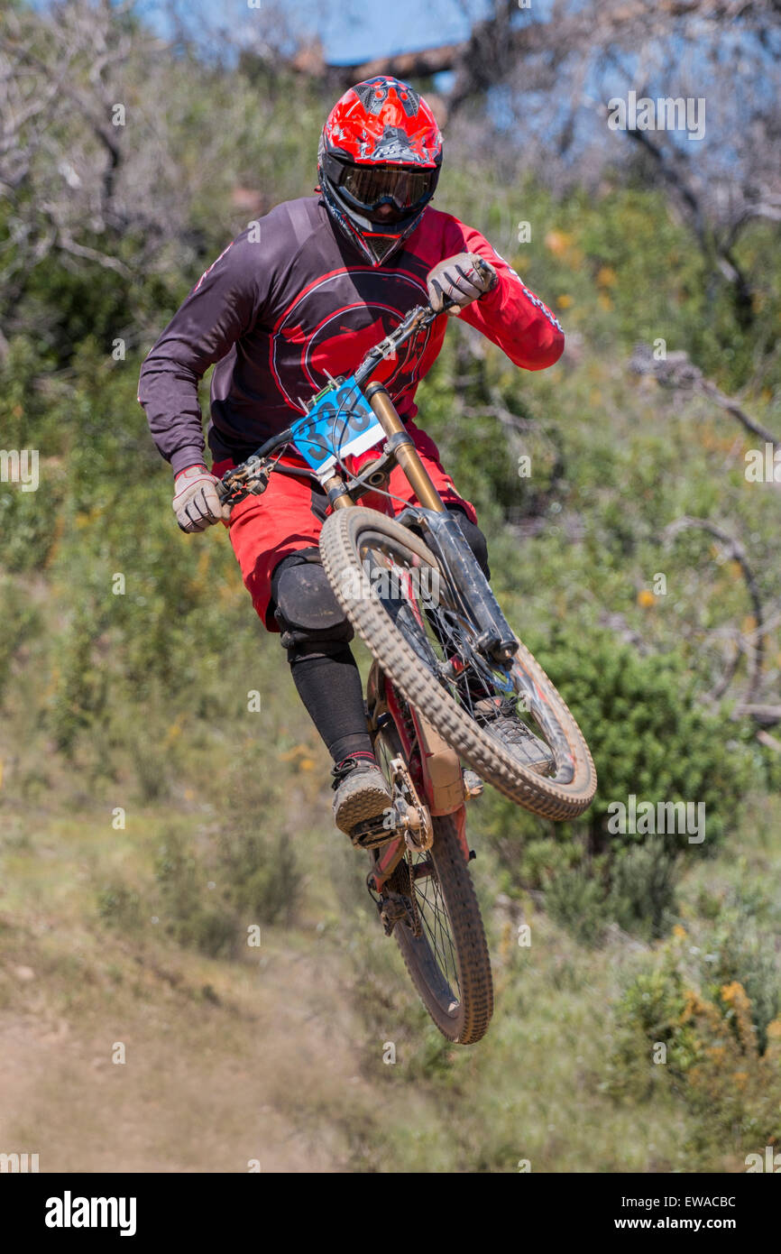 Downhill competition, Biker jumps fast in the countryside Stock Photo ...