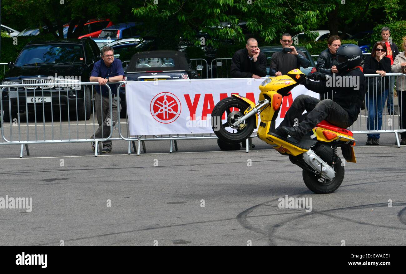 Boxhill crowd hi-res stock photography and images - Alamy