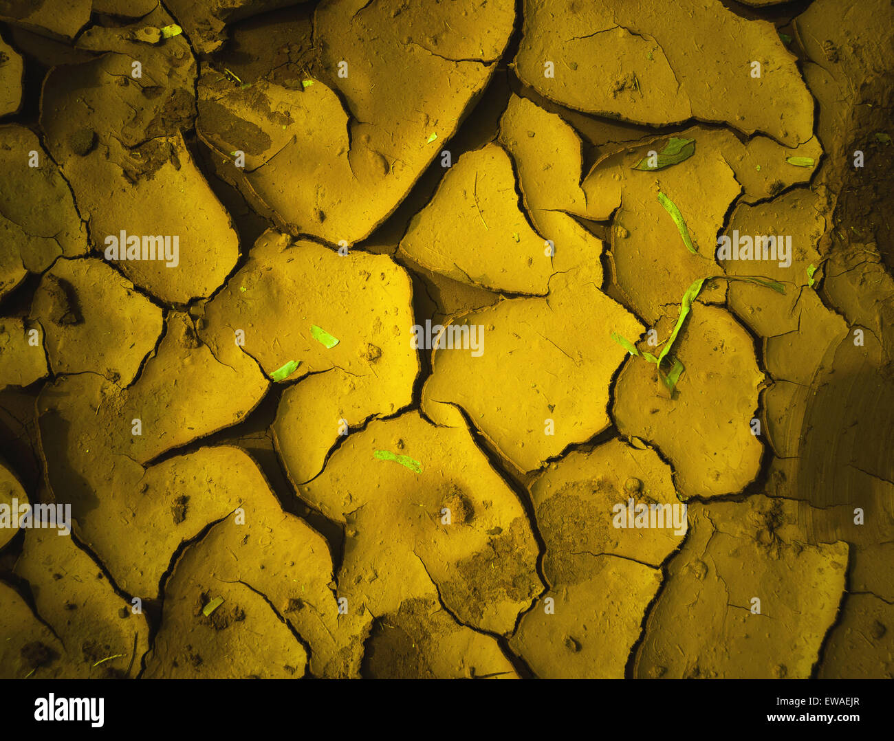 Mud textured background in yellow tone. Small detail Stock Photo - Alamy