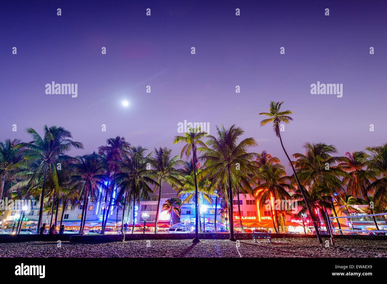 Palm trees line Ocean Drive. The road is the main thoroughfare through ...