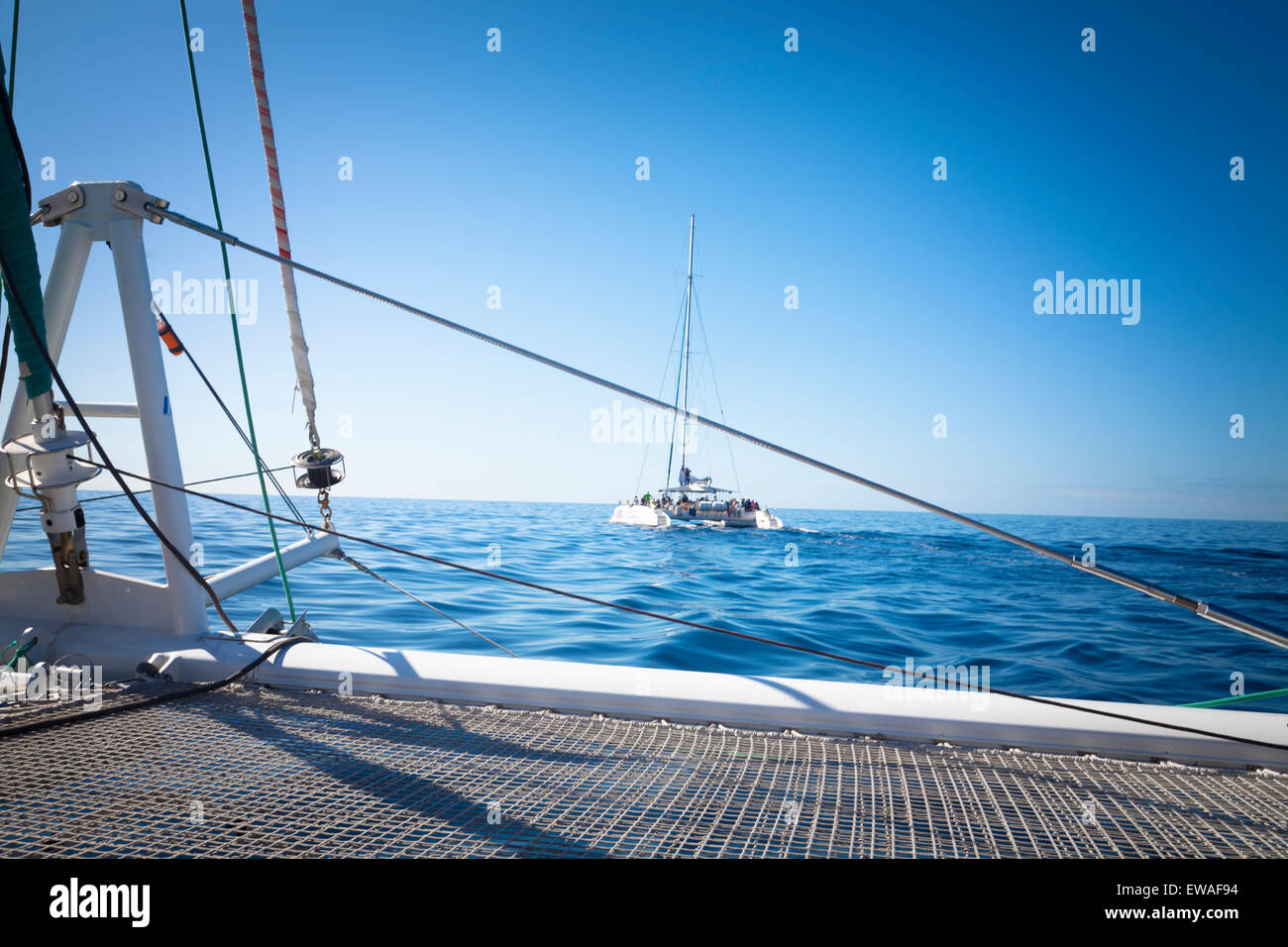Catamaran Sailing Boat near Madeira Stock Photo - Alamy