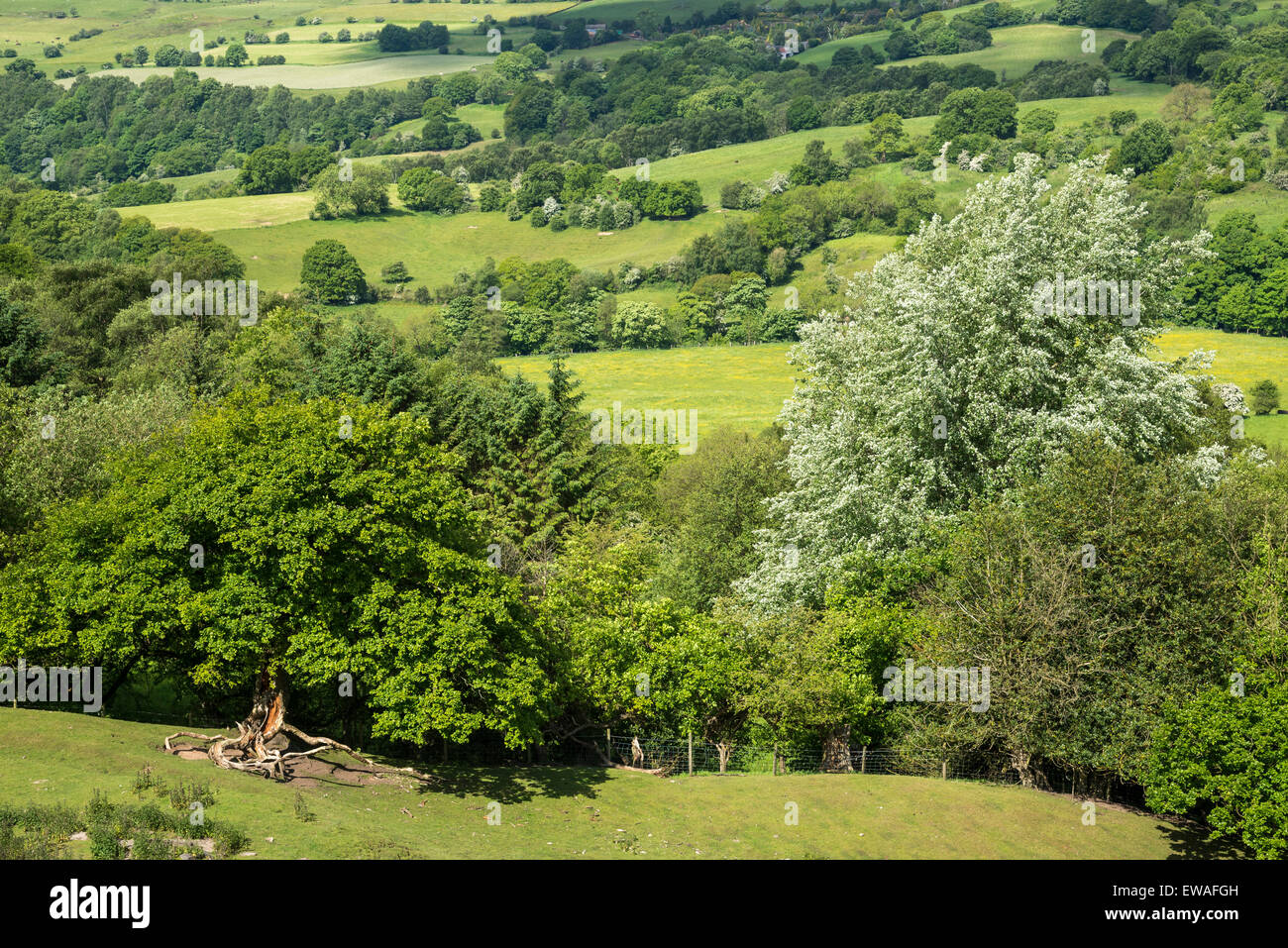 Beautiful view english countryside in hi-res stock photography and ...