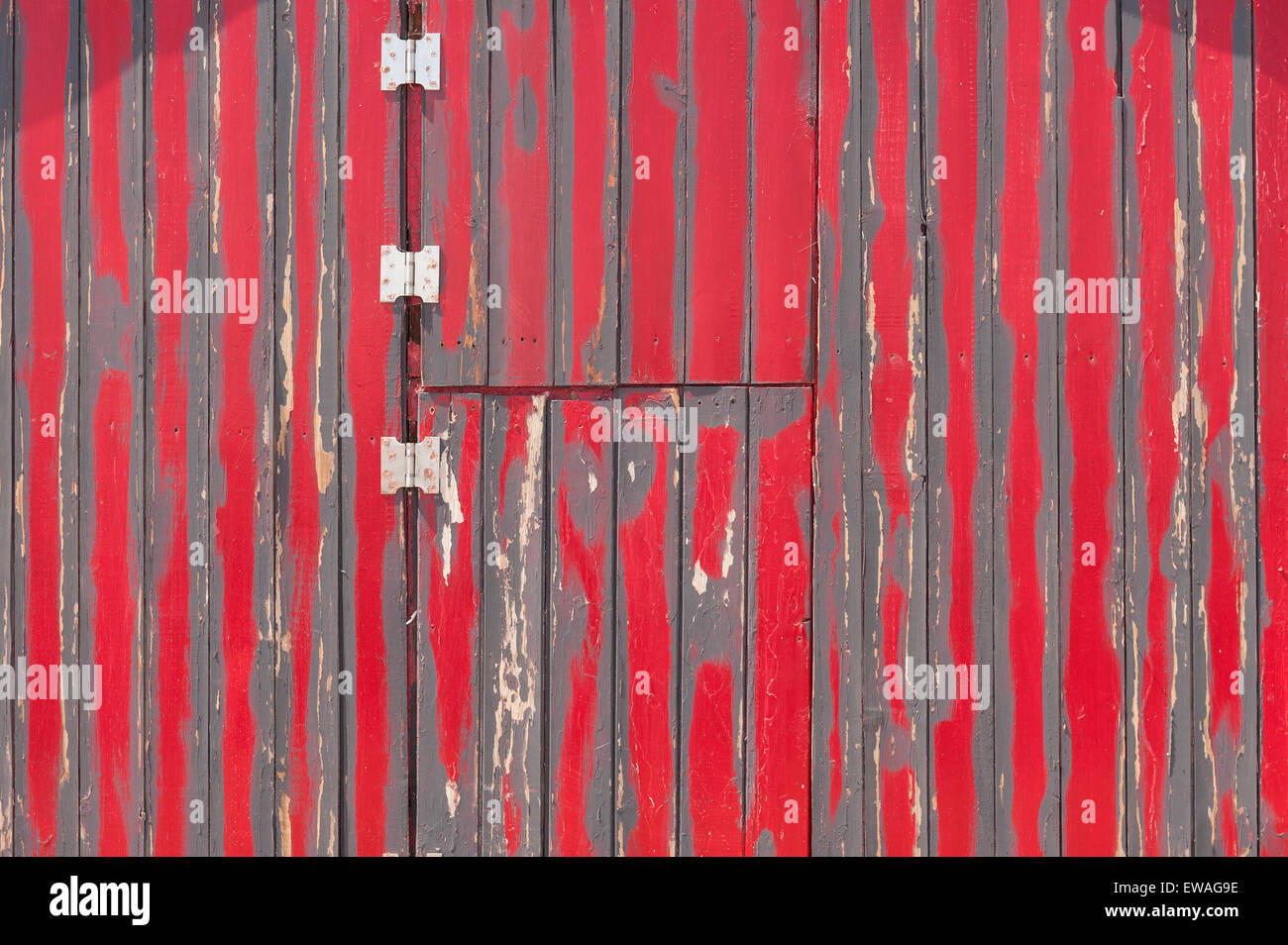 Bright red scarlet ridges on ridges galvanized metal door hidden by ...