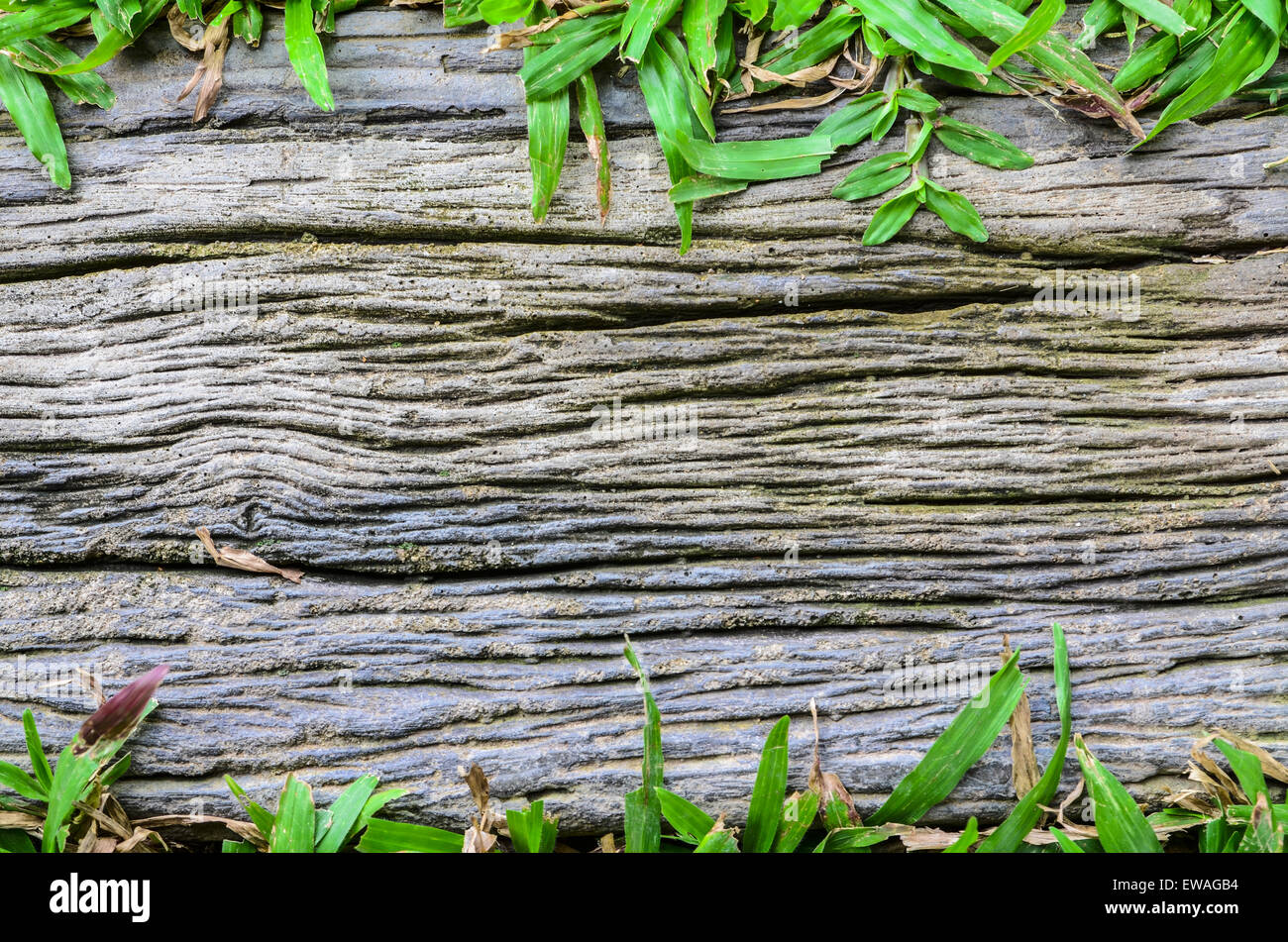 Rough surfaces hi-res stock photography and images - Alamy