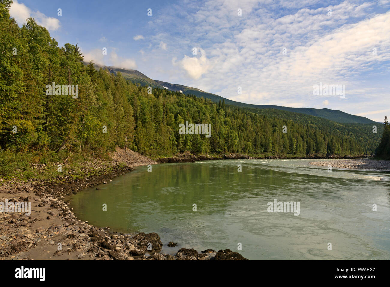 Skeena river hi-res stock photography and images - Alamy