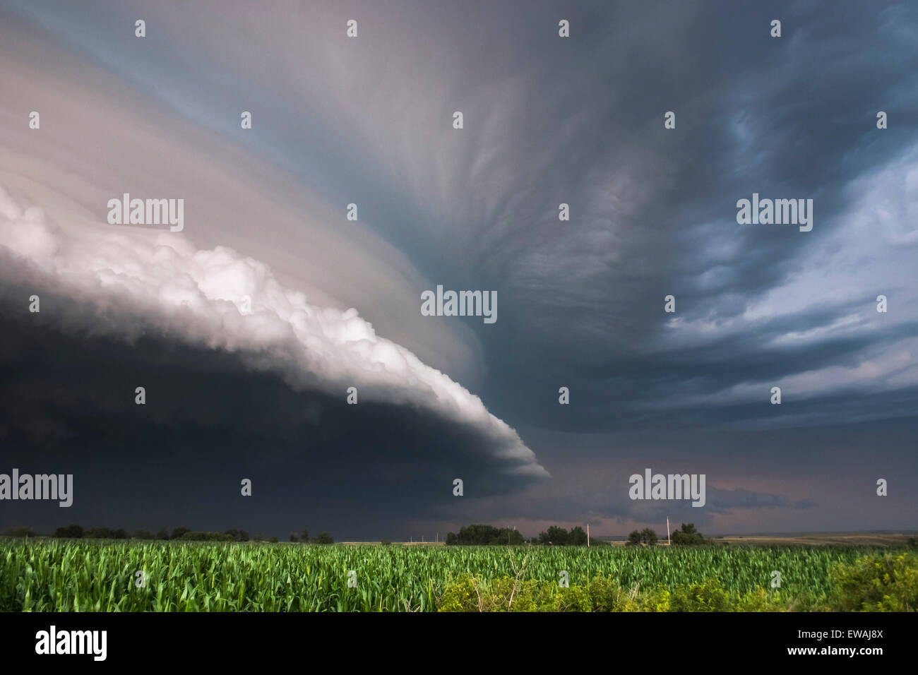 Slow moving tornadic supercell speeds up and gusts out as a fast moving ...