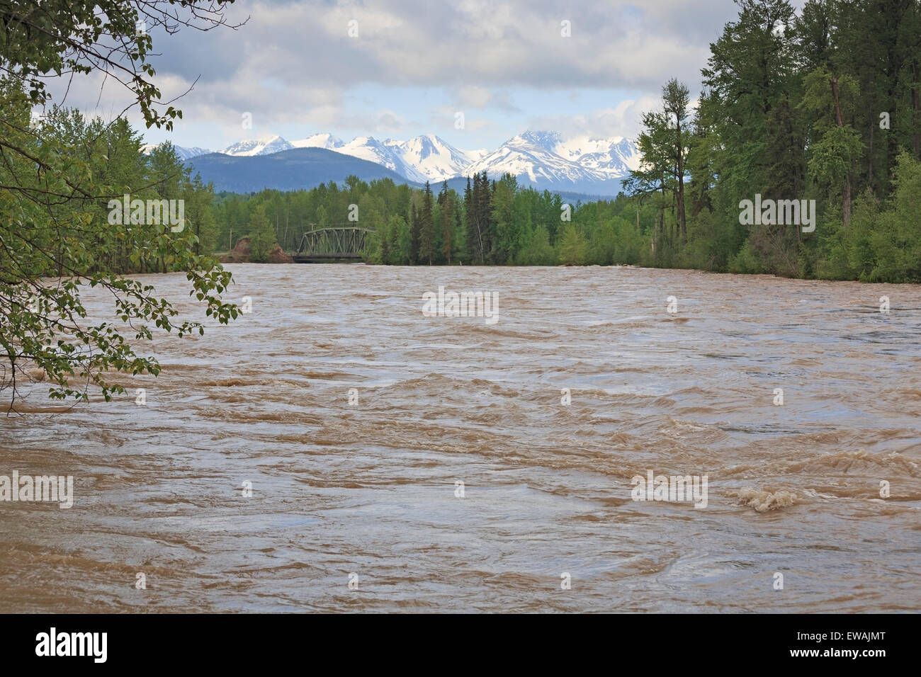 Record spring snow run-off on the Bulkley river at Telkwa, British ...